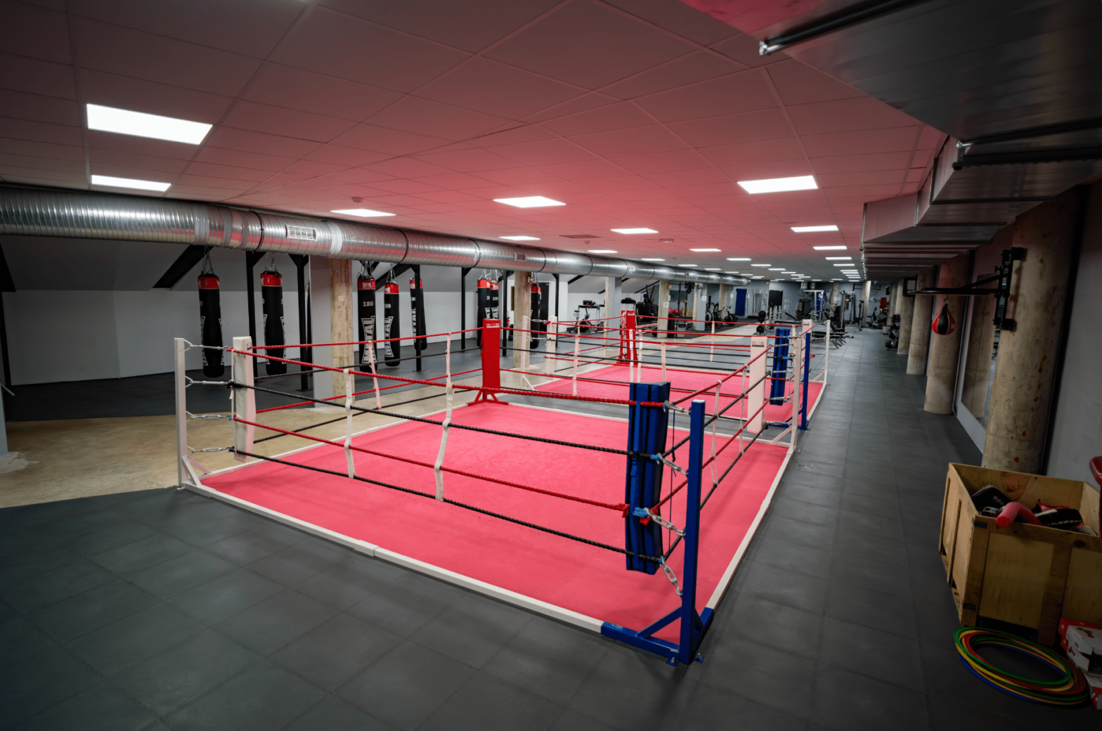 Club de Boxe Bordeaux : Adultes et Enfants - Axel Vega